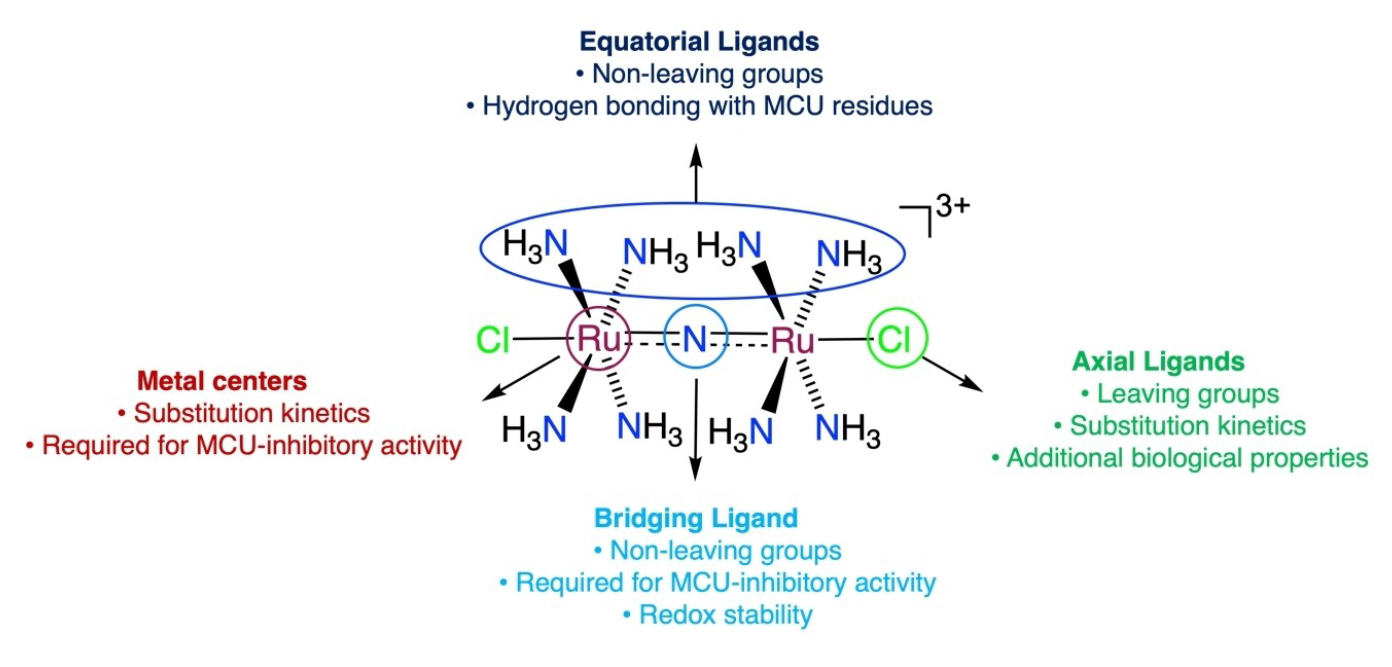 Research – The Wilson Research Group
