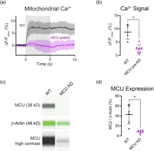 Publications – The Wilson Research Group